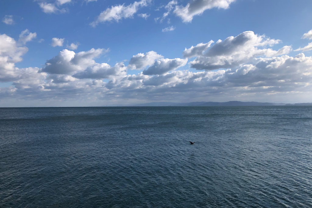 鳴門、インプットと癒しの時間 | amanojack design（パンダ合同会社） | 奈良を拠点とするデザイン会社で大阪、東京、台湾等でも活動中。